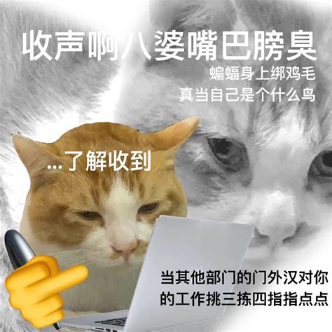 转微博 堆糖，美图壁纸兴趣社区
