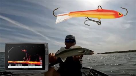 Smashing Walleyes Using Livescope And Jigging Raps Nodak Angler