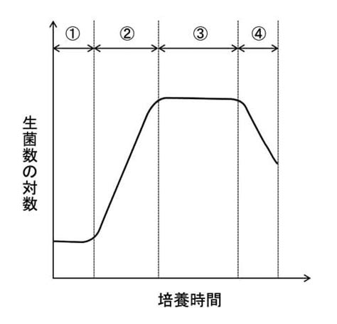 【微生物学】細菌の倍加時間が一定しているのはどこか。 歯科衛生士を目指す学生のための情報サイト｜シカカレ