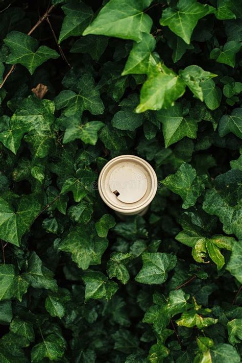 A Close Up Of A Single Use Coffee Cup Lid Among Natural Greenery