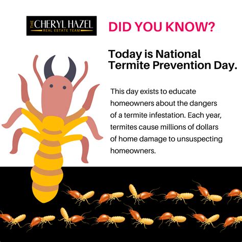 Facts About Termites Artofit