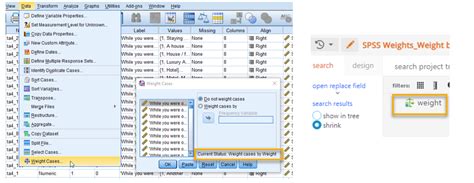 Imported Data SPSS Data Support