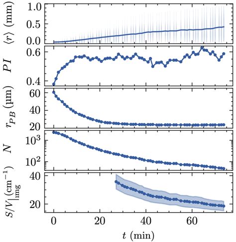 Evolution Of The Average Radius Of The Bubbles R Of The Download Scientific Diagram