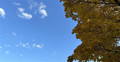 Індивідуальна програма розвитку 4 рівень підтримки Інші методичні матеріали Інклюзивна освіта