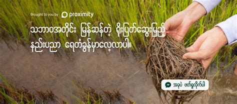 ဝိစာရ ယင်ဖြူ နှင့် ဖျက်ပိုးမျိုးစုံ နှိမ်နင်းဖို့ရာ ကေလာ ကို သုံးကြပါ 🌿🐛🍀🦗☘️🐛☘️🦗🍀🐛🌿 🔹