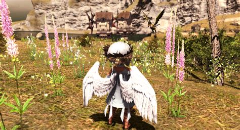 Angel Eorzea Collection