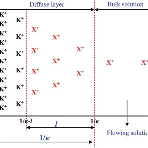 Schematic Diagram Of The Cationic Distribution In The Diffuse Layer Download Scientific Diagram