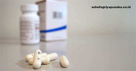 Proneuron Obat Apa Ketahui Kegunaan Dan Efek Sampingnya Ashefa Griya