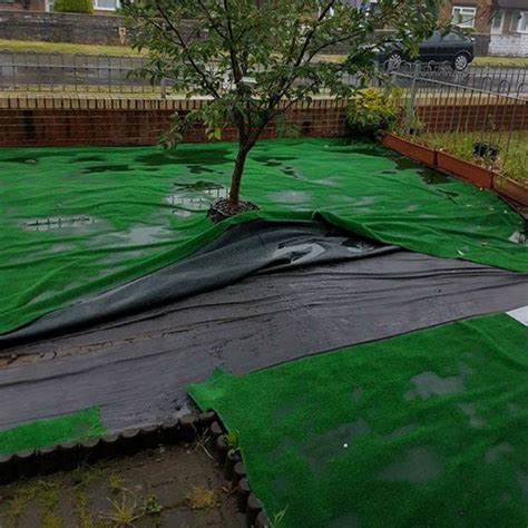 Most Common Problems With Artificial Grass Guide To Avoid Mistakes