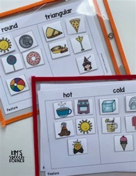 Feature Function Class Categories And Attributes Activities Tpt