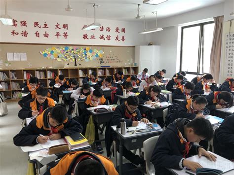 成长之树，见证同学们的成长