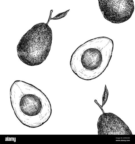 Seamless Pattern With Avocado Hass Graphic Illustration Hand Drawn
