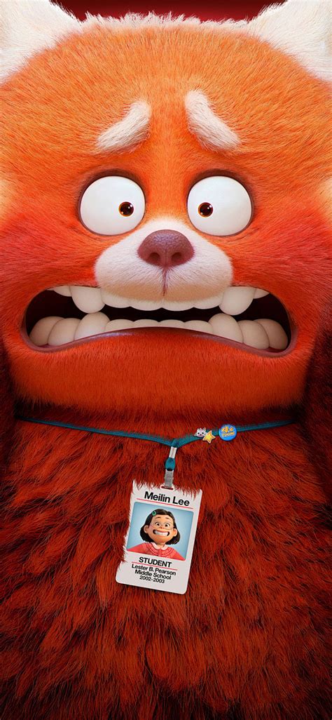 青春变形记高清壁纸