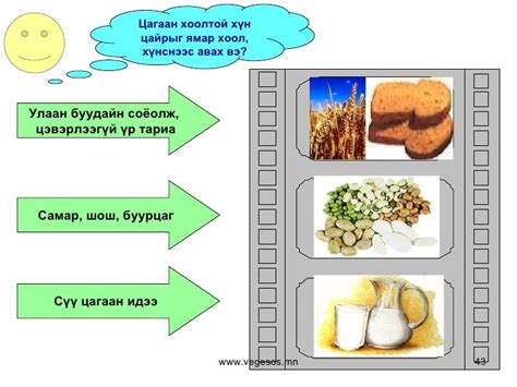 Цагаан хоол эрүүл мэнд шим тэжээл