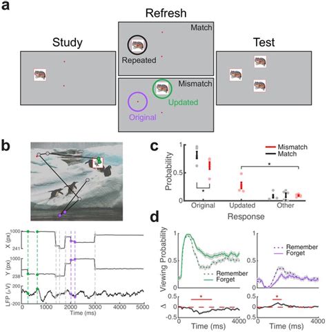 Hippocampal Theta Coordinates Memory Processing During Visual Exploration Elife