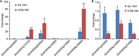 Drought Stress Induced Gene Expression In Sorghum Roots Download