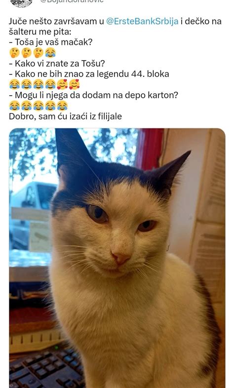 Andrija Milovanovic On Linkedin Drage Kolege Voleo Bih Da Podelim