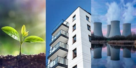 Polisemia Concepto Ejemplos Monosemia Y Homonimia