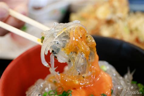茨城「海鮮ランチ・生シラス丼♪」かあちゃんの店 大洗漁協直営店 こばフォトブログ ～自分らしく自由気ままに～