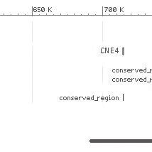 Genomic Context Of Highly Conserved Non Coding Dna Elements Cnes In