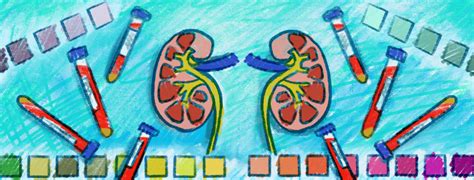 How To Understand Your Kidney Lab Values Type Diabetes Com