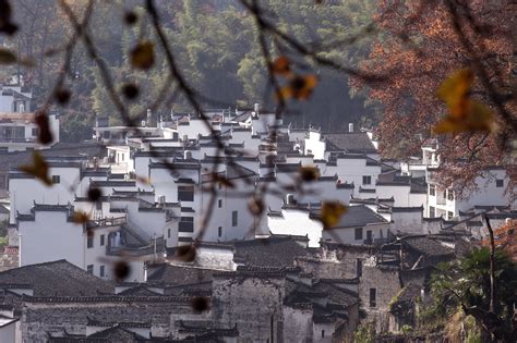 萧萧远树流林外一半秋山带夕阳 搜狐大视野 搜狐新闻