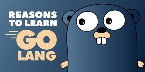 Pravesh Sudha On Linkedin Programming Golang Coding Devops