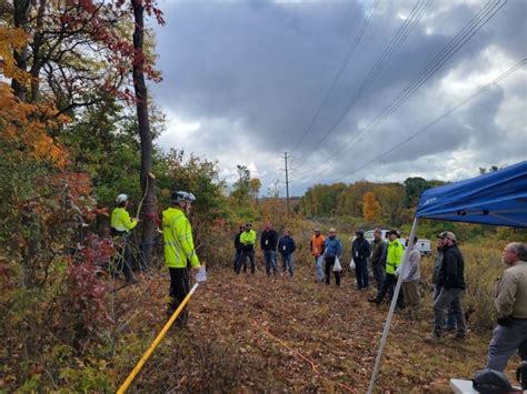 Xylem Tree Experts On Linkedin Xylemtree