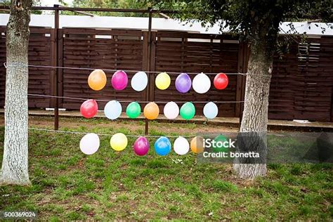 Balon Tergantung Di Pohon Foto Stok Unduh Gambar Sekarang Balon