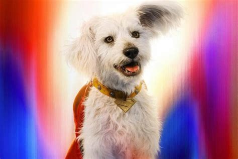 Krypto Perro Superhéroe Vuelve A Ser Tendencia Celebridades