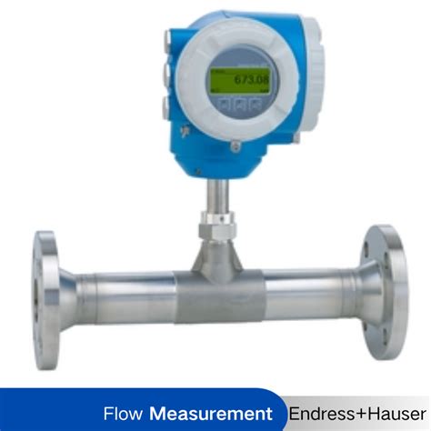 Endress Hauser Proline Promass F300 Coriolis Flowmeter Antlets