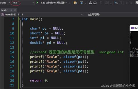 【c语言】初阶指针（指针及其类型以及野指针）c Zu Csdn博客
