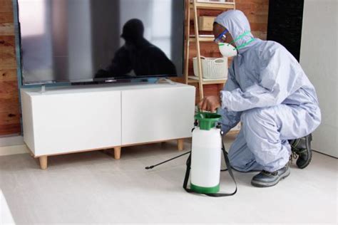 Fly Control Solutions In South Texas Call Bugpro Bugpro Inc