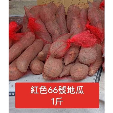 金山地瓜 代購 老街地瓜 1斤 57號黃地瓜 66號紅地瓜 栗子地瓜 紅色 黃色 蝦皮購物