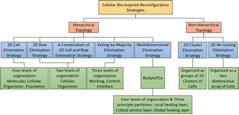Cellular Bio Inspired Reconfiguration Methods Download Scientific Diagram