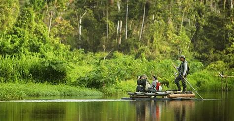 Mejores Destinos En La Selva De Perú Andino Perú Tours