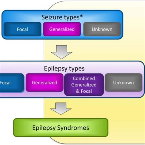 Organisation De La Classification Des Pilepsies Selon L Ilae