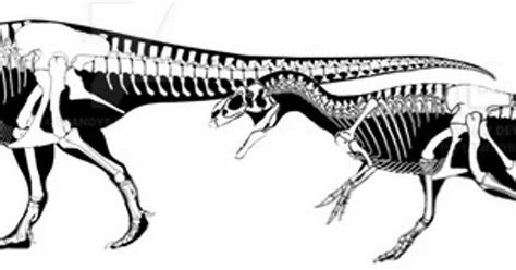 Tyrannosaurus With Saurophaganax Album On Imgur