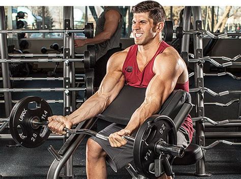 Curl Predicador Barra Z Fitness Guia Fitness Guiaes Curl Predicador Barra Z Fitness Guia Fitness Guiaes