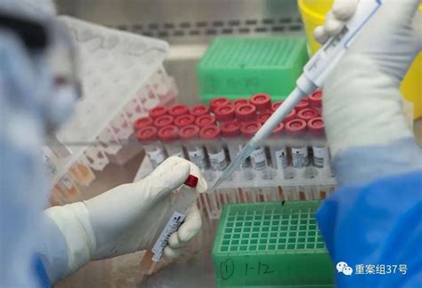 日均40万的样本到底怎么检测 探访北京核酸检实验室 图片中国 中国网