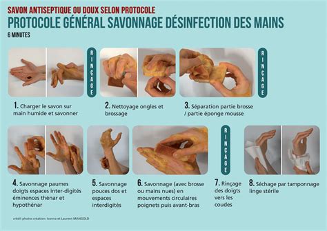 Protocole Général Savonnage Désinfection Des Mains Qualitévet