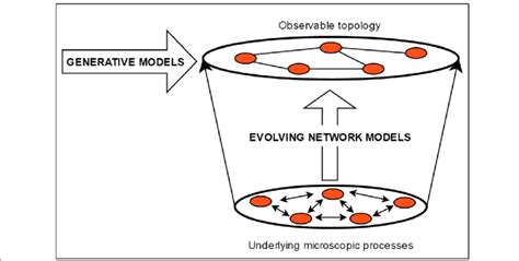Modelling Perspectives Obtained From Generative And Evolving Network Download Scientific