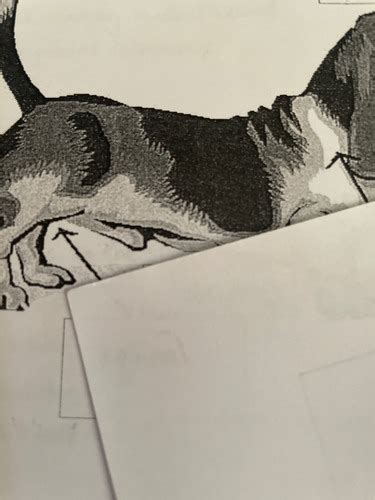 Lymph Node Locations Flashcards Quizlet