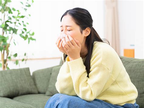 アレルギー性鼻炎（花粉症）｜ゆか耳鼻咽喉科｜大阪市東住吉区の耳鼻科