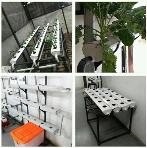 Promo Paket 120cm Talang Guli OVAL Hidroponik Hydroponic Gully Isano