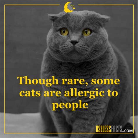Useless Fact 6 Useless Facts