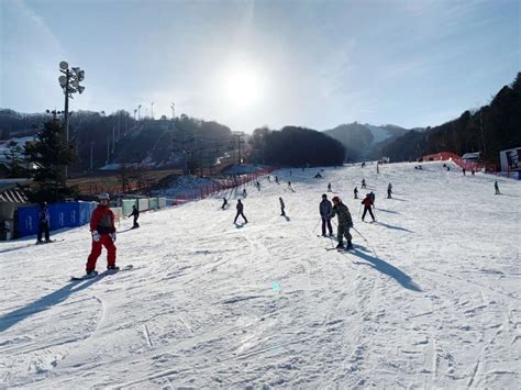 평창 휘닉스파크 리프트권 제일 저렴하게 파티도 즐기는 방법 네이버 블로그