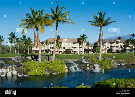 Waikoloa Hawaii Big Island Beautiful Water And Palm Trees With Homes