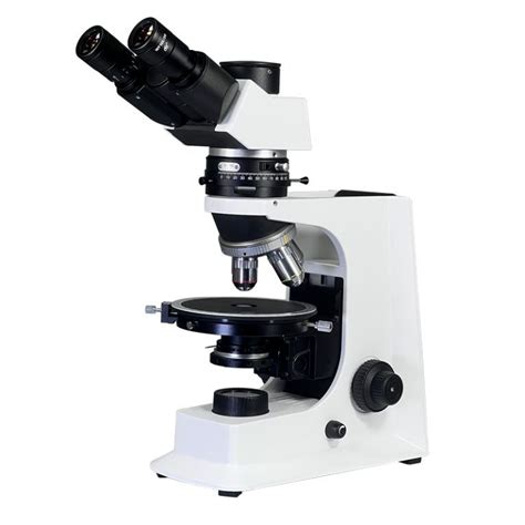 Overview The Polarizing Microscope Principles Types And Applications Scopelab