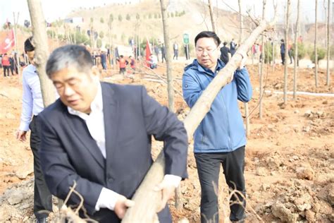 埇桥区法院不负春光好时节 义务植树添新绿